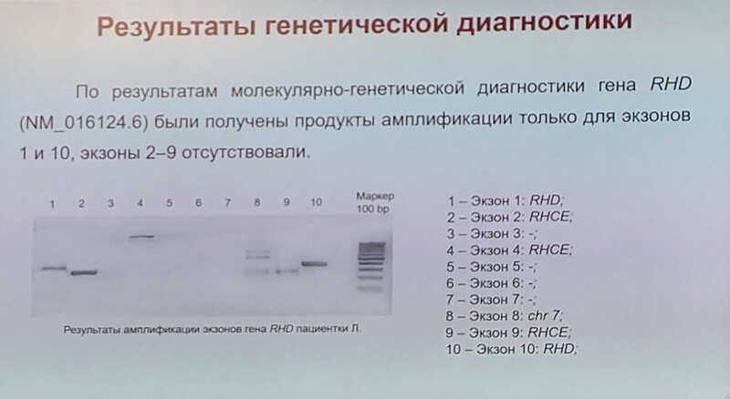 МД-2025: Молекулярные методы в трансфузиологии и трансплантологии — PCR News