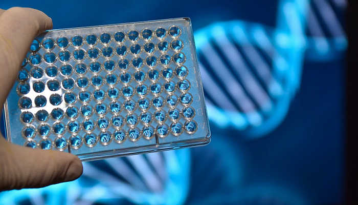 JP Morgan Healthcare 2024. День третий: NanoString Technologies, Sophia ...