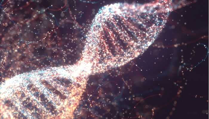 Roche приобрела Stratos Genomics с оригинальной технологией ...