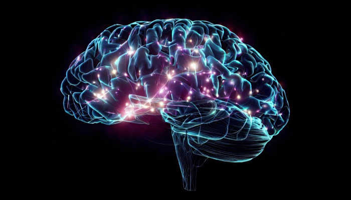 Консорциум PsychENCODE: психиатрия на уровне единичных клеток — PCR News